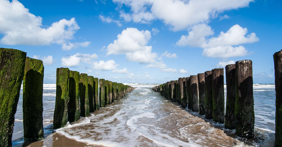 Goedkope vakantie Cadzand 2025 - dé VakantieDiscounter